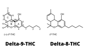 What is Delta-8 THC? How is it different than Delta-9? - CBD Oracle