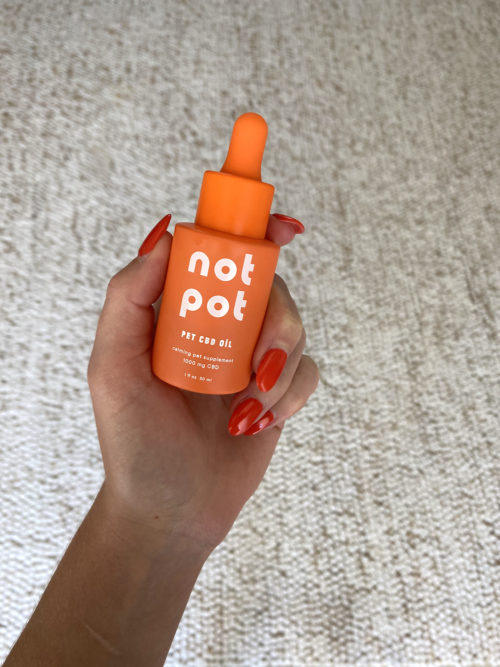 Not Pot Review - CBD Oracle