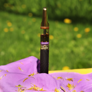 Solei Cannabis Review - CBD Oracle