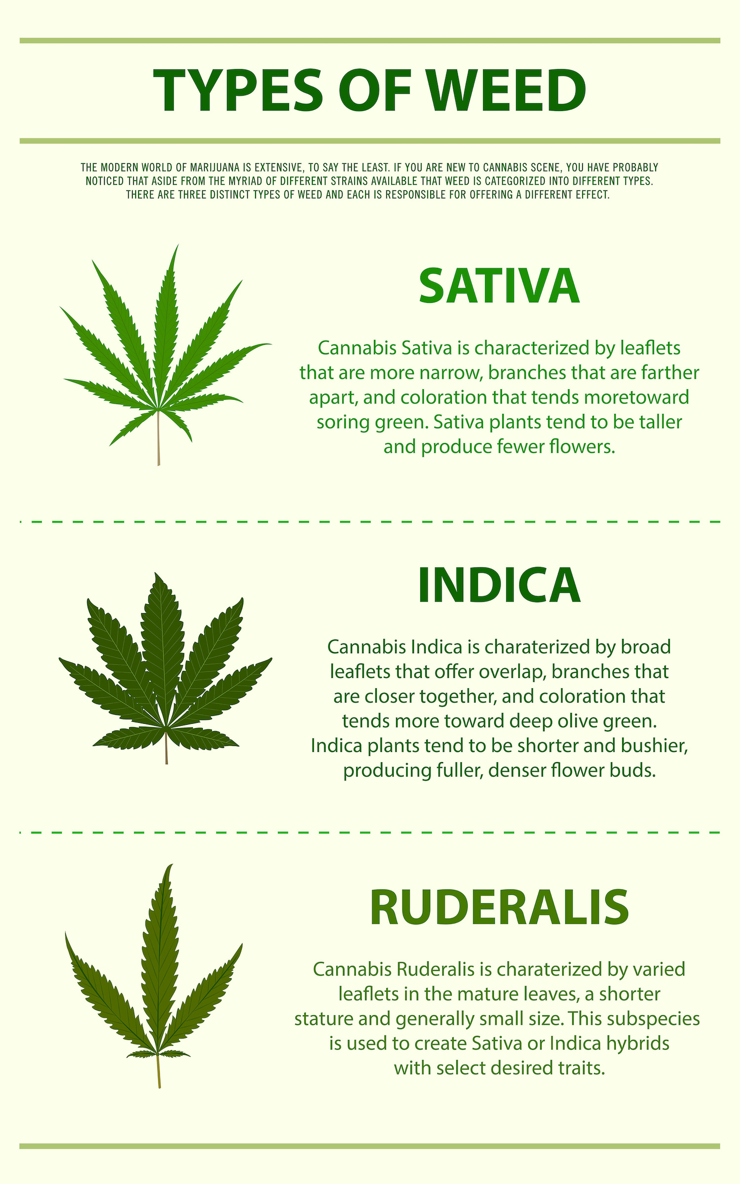 Hemp vs. Marijuana: Is Hemp Same As Weed? How to Tell the Difference? Hemp vs. Marijuana: Is Hemp Same As Weed? How to Tell the Difference?
