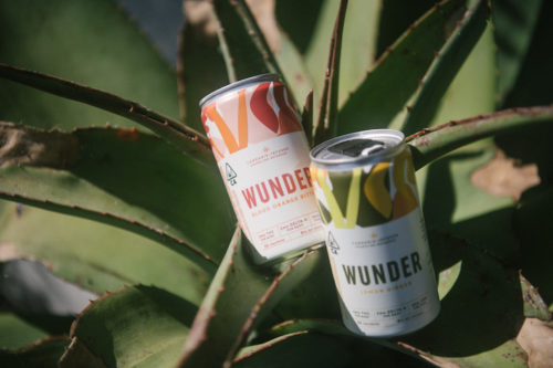 The 6 Best THC Drinks to Try in 2023 - CBD Oracle