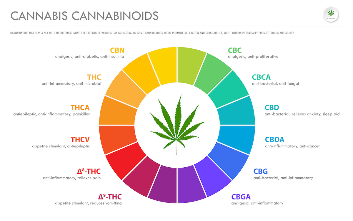 What Are Cannabinoids? List of Every Major Cannabinoid
