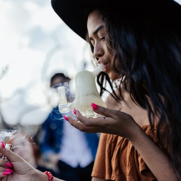 9 Best Weed Subscriptions Boxes in 2024 - CBD Oracle