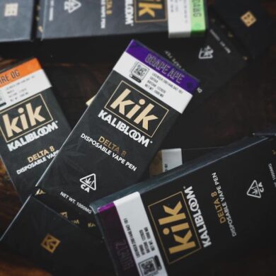 12 Best Delta-8 Disposable Vape Pens: Reviews & Guide (2023)