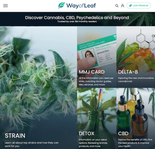 55 Best Cannabis Blogs for Daily Reading in 2024 - CBD Oracle